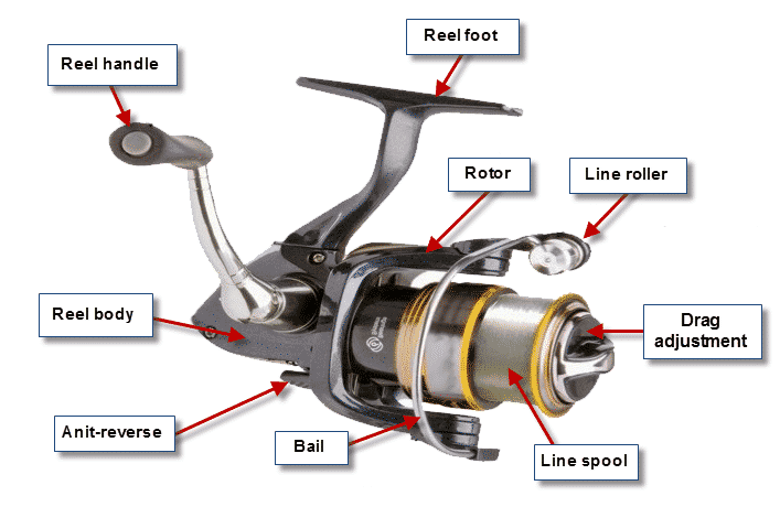 How To Use Spinning Reel complete Guide 